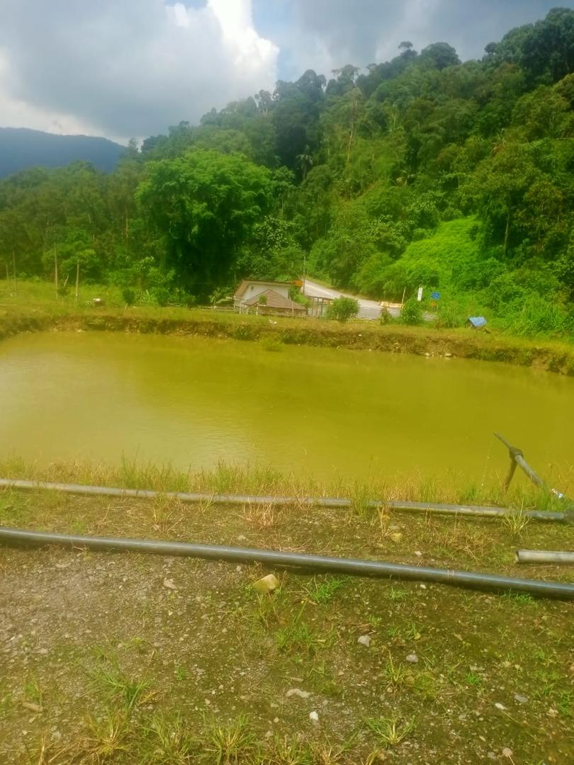 Marketplace Agro Borong | Pertanian | Penternakan | Pemborong