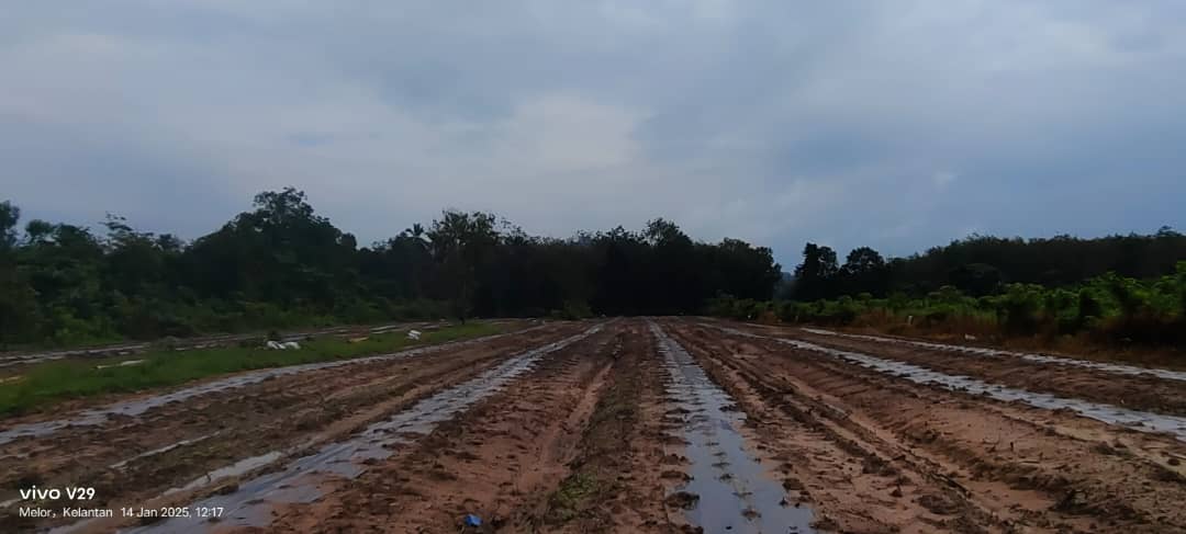 Marketplace Agro Borong | Pertanian | Penternakan | Pemborong