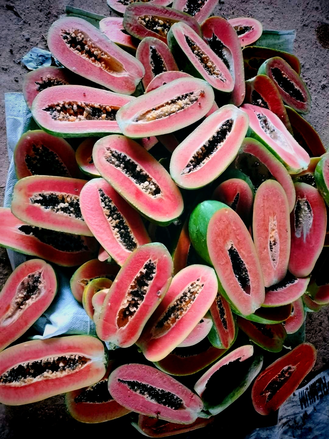 Marketplace Agro Borong | Pertanian | Penternakan | Pemborong