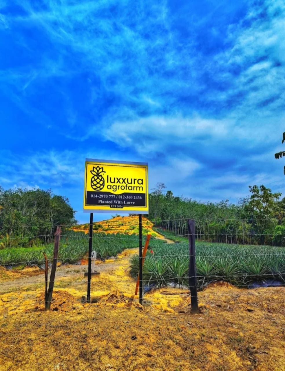 Marketplace Agro Borong | Pertanian | Penternakan | Pemborong