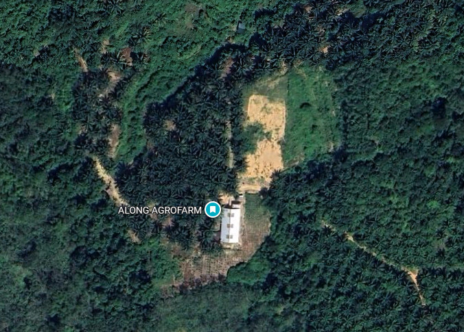 Marketplace Agro Borong | Pertanian | Penternakan | Pemborong