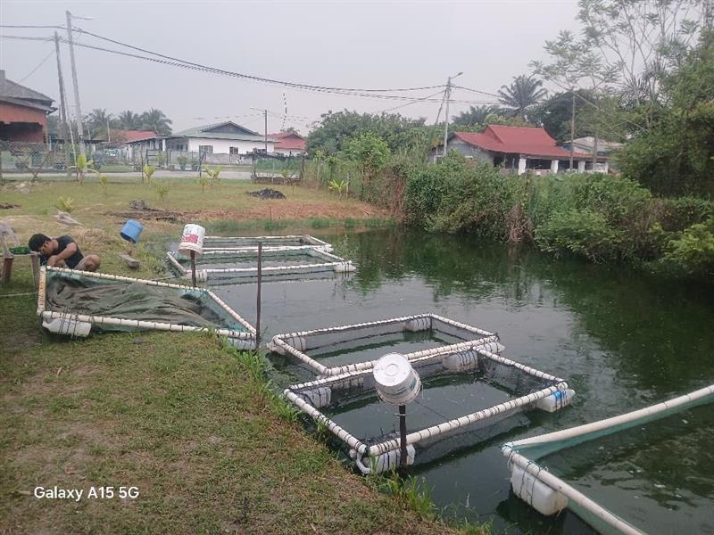 Marketplace Agro Borong | Pertanian | Penternakan | Pemborong