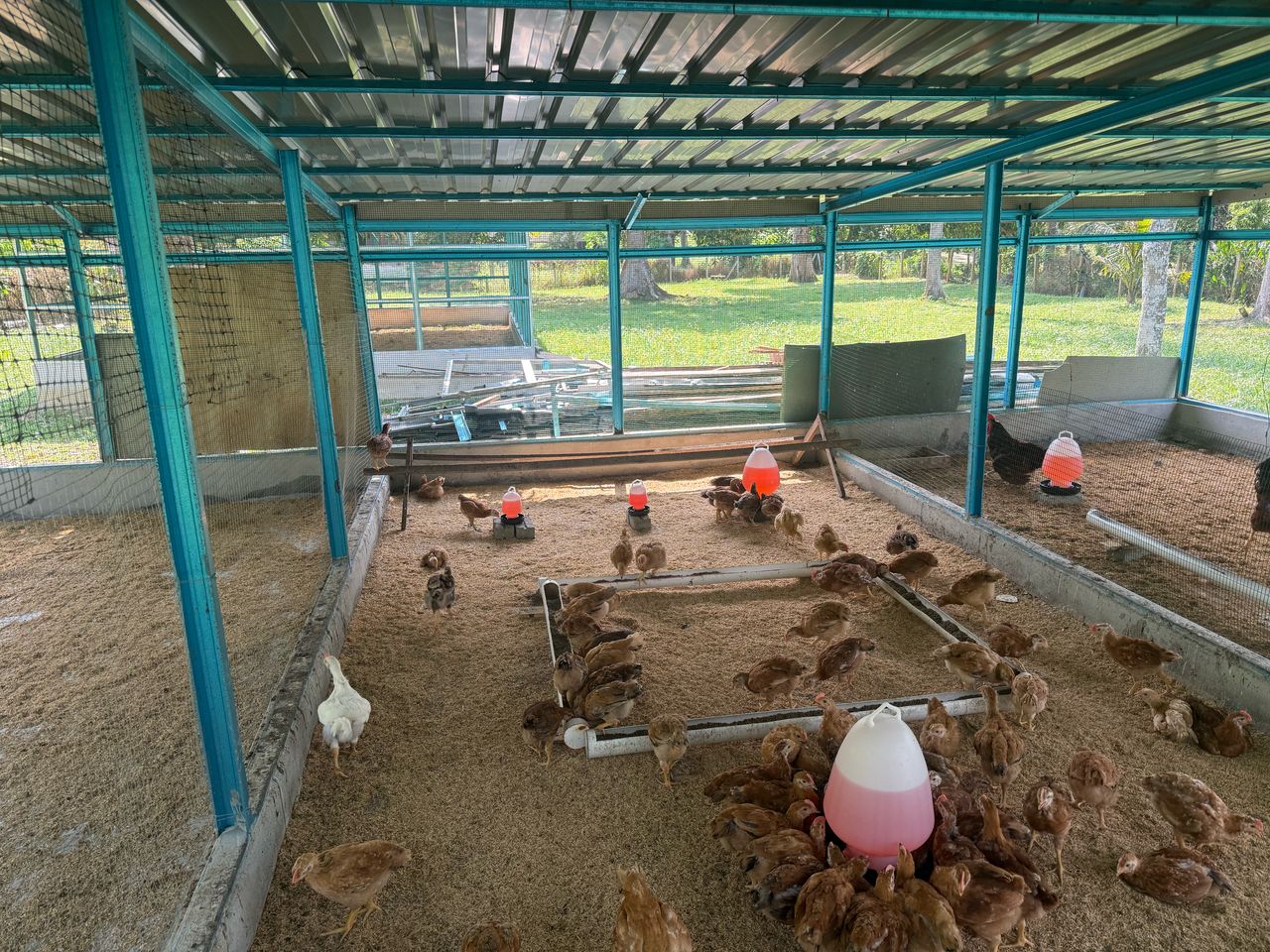 Marketplace Agro Borong | Pertanian | Penternakan | Pemborong