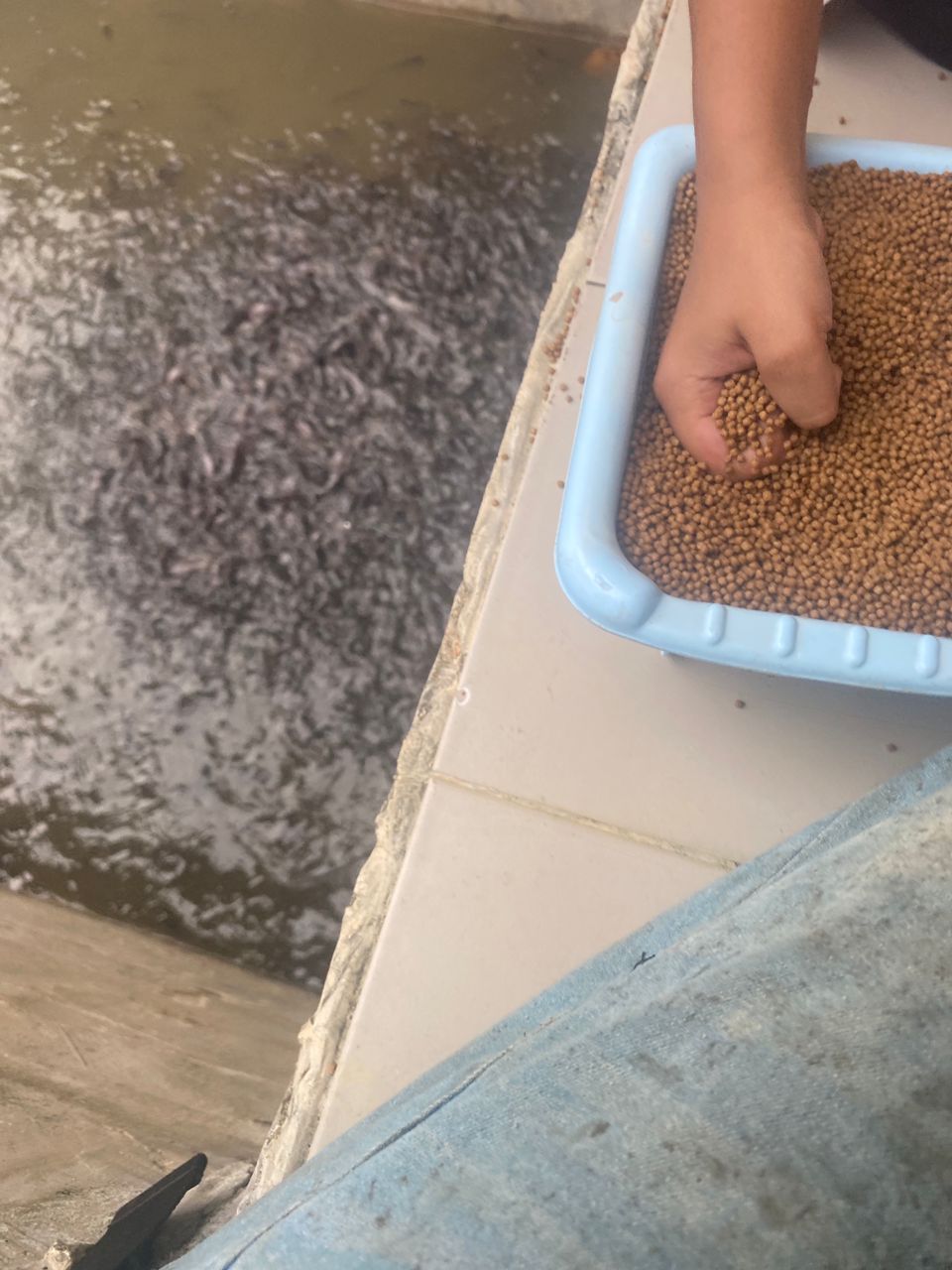 Marketplace Agro Borong | Pertanian | Penternakan | Pemborong